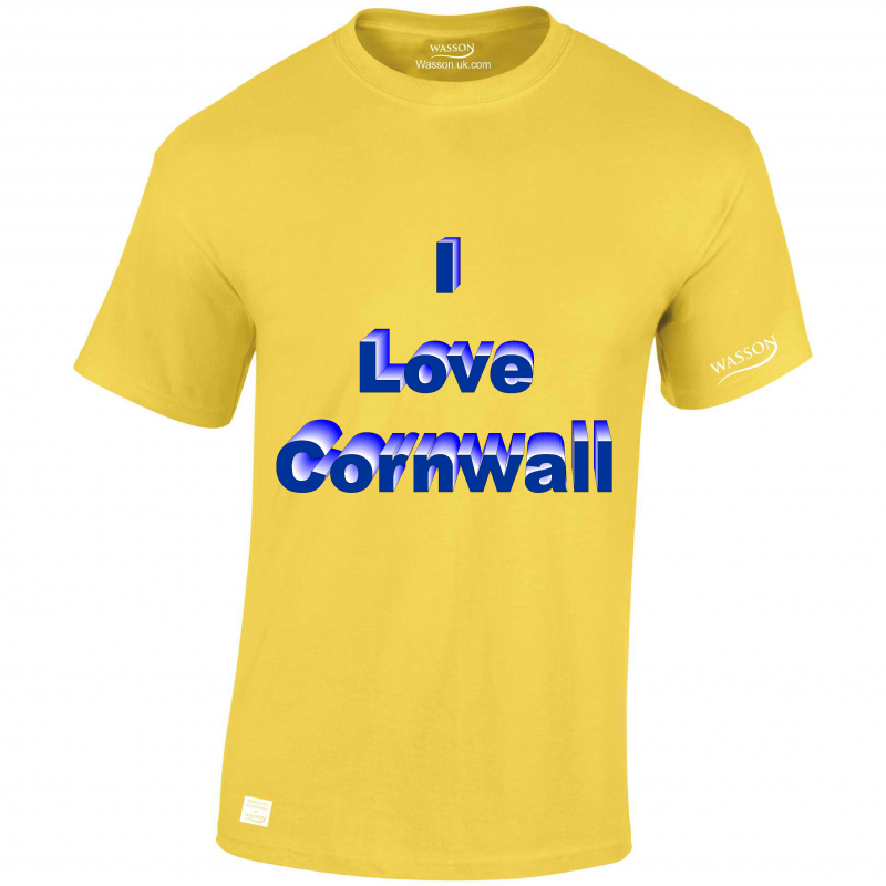 I love Cornwall | Wasson